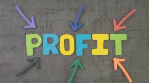 How to Spend Your Profit - Insight Partners Africa