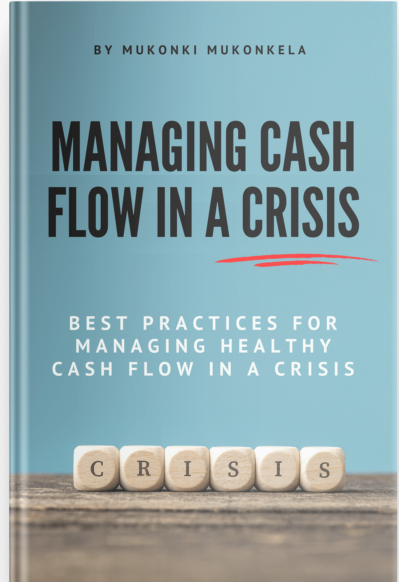 Managing Cash Flow In A Crisis E Book Insight Partners Africa Managing Cash Flow In A Crisis E Book Insight Partners Africa